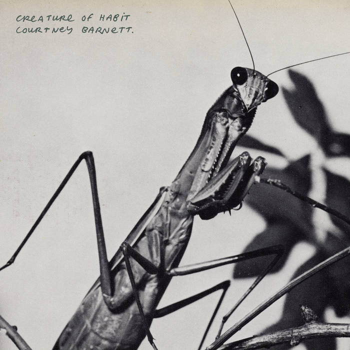 Courtney Barnett - Creature Of Habit – Red Eye Records